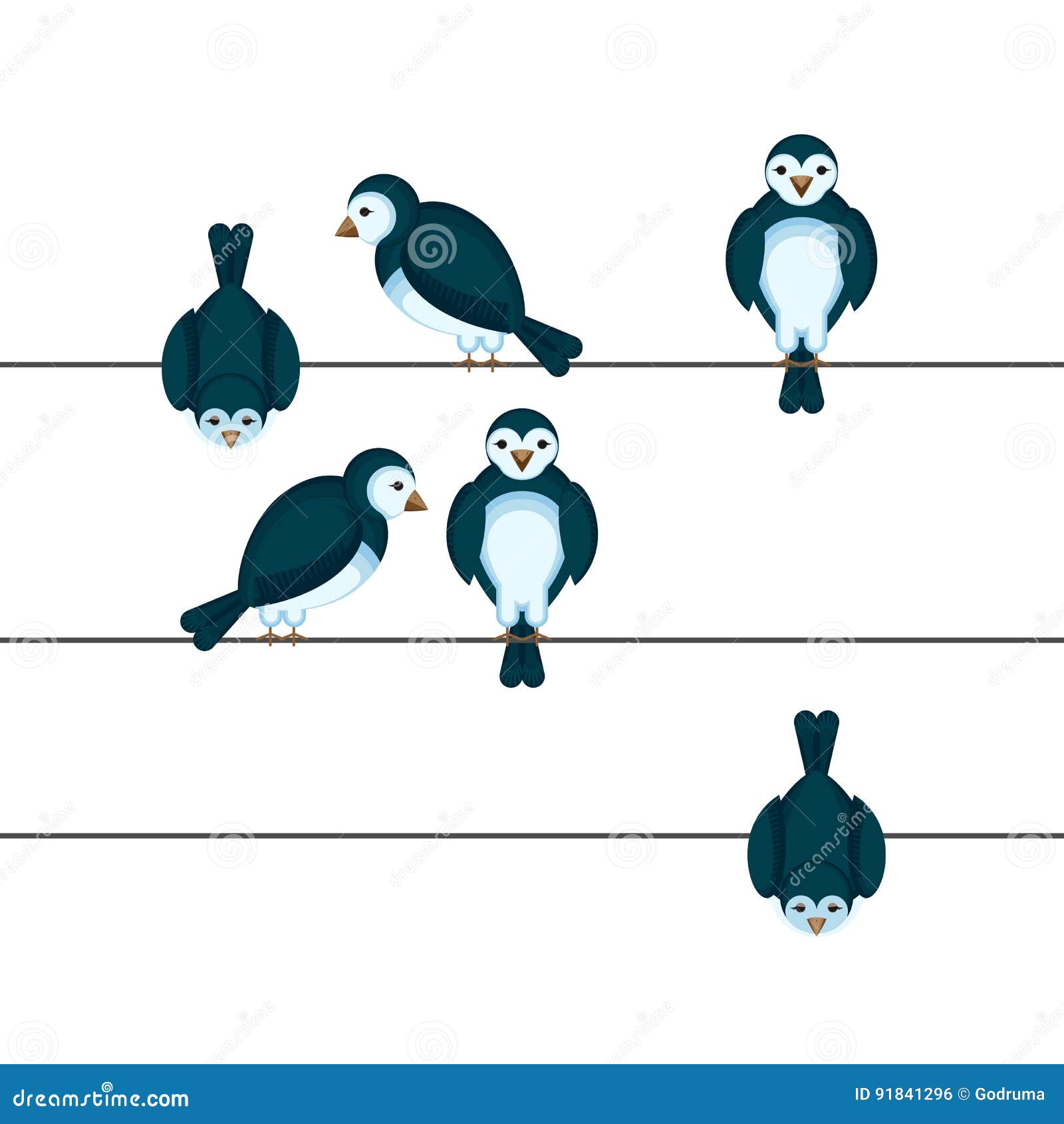 Birds Sitting on Wire in Different Positions Vector Illustration Stock ...