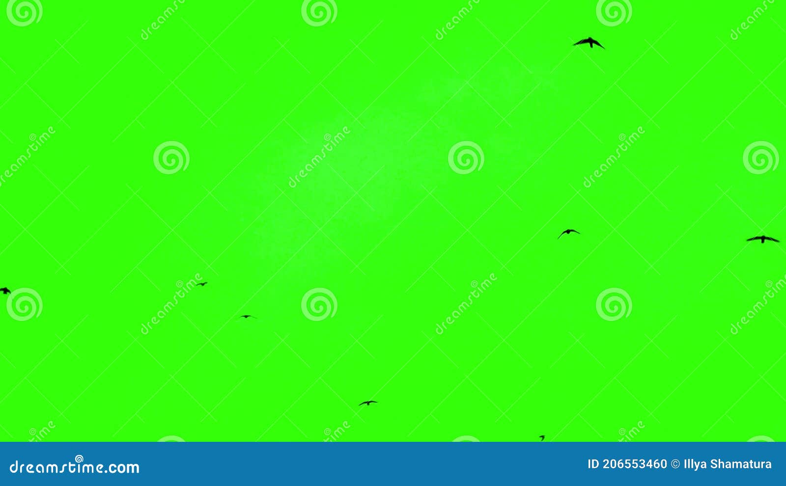 Birds in the Sky on Green Screen Stock Footage - Video of migrating ...