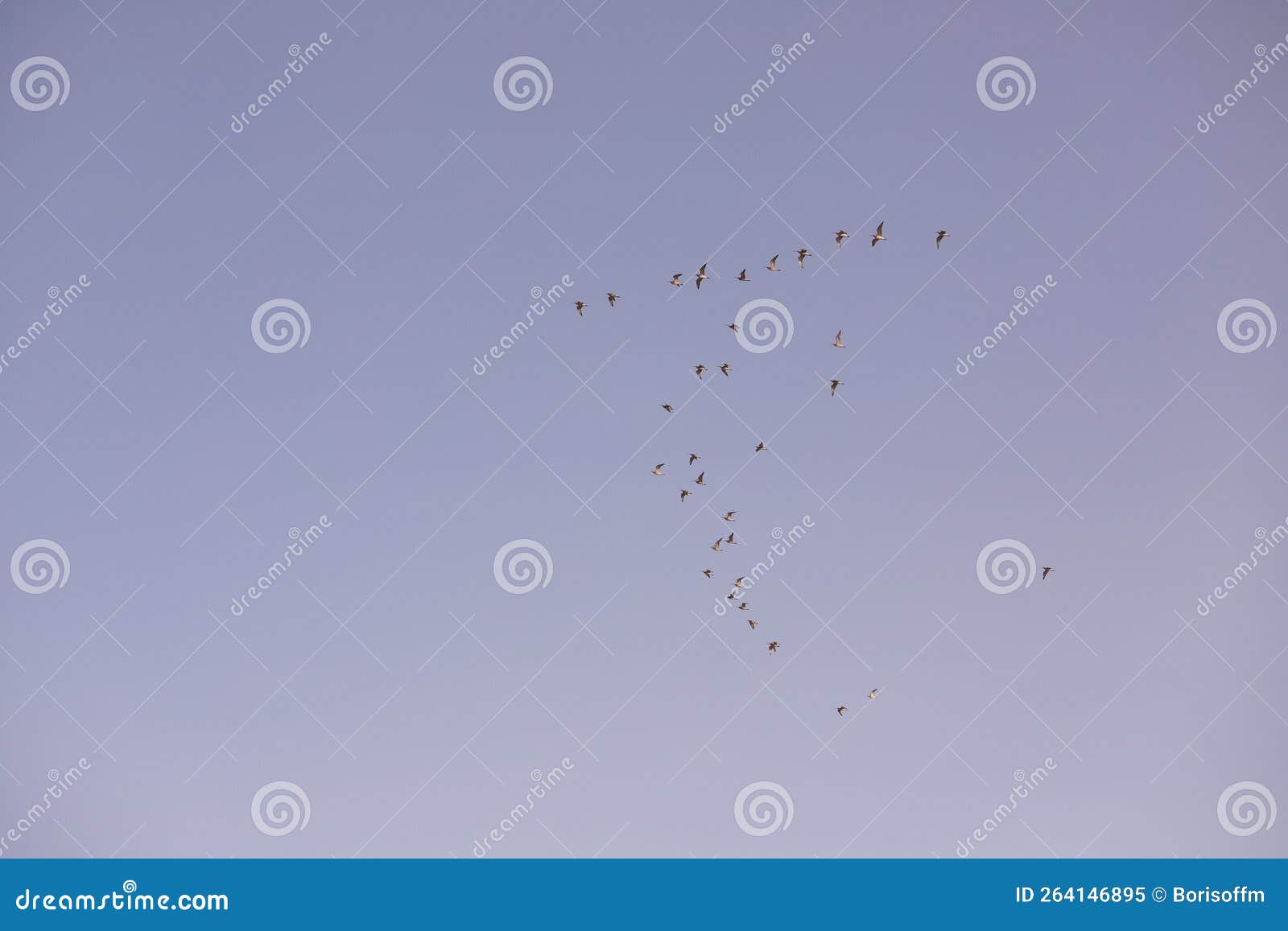 Birds in the Sky Line Up in a Triangle Stock Image - Image of triangle ...