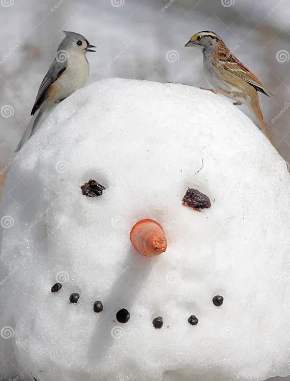 Birds on a Snowman stock image. Image of frosty, nature - 4416371