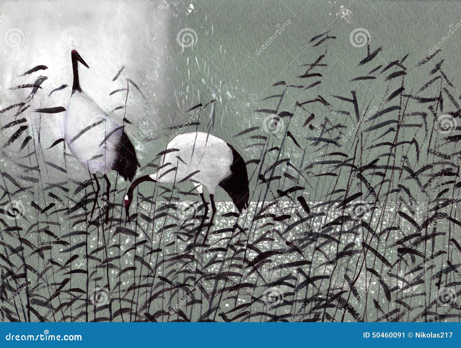 Birds storks in the reeds stock illustration. Illustration of crowned ...
