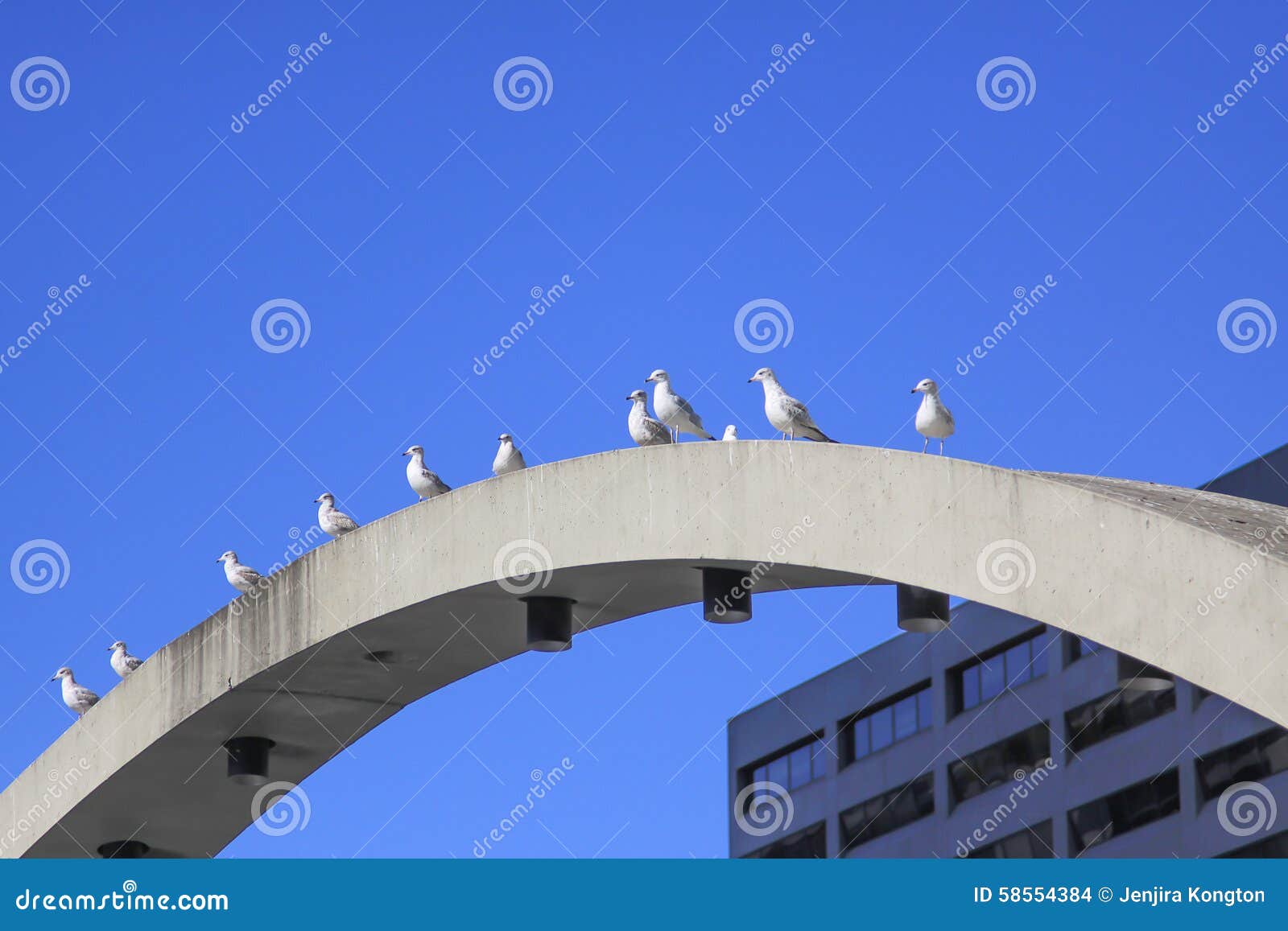 Birds on structure stock photo. Image of blue, view, birds - 58554384