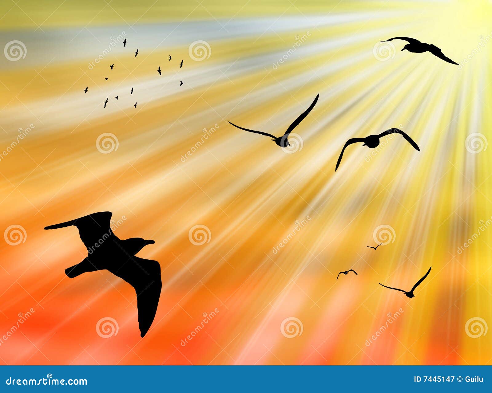 Birds in the sun stock illustration. Illustration of wild - 7445147