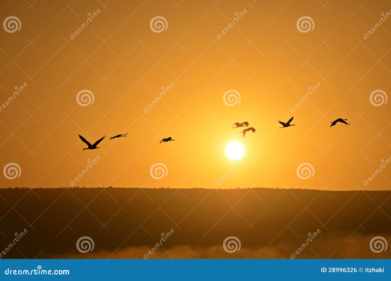 Birds at Sunrise Over a Mist and Mountain Stock Photo - Image of ...