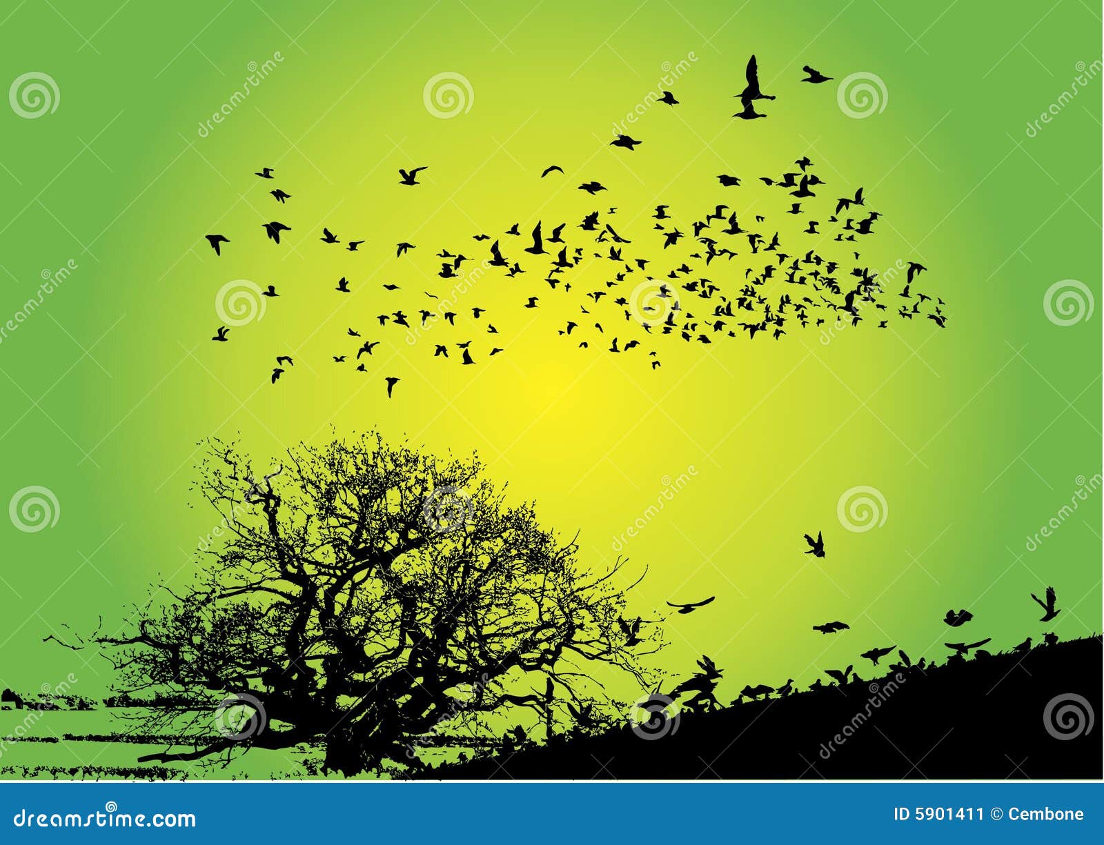 Birds With Tree Picture. Image: 5901411