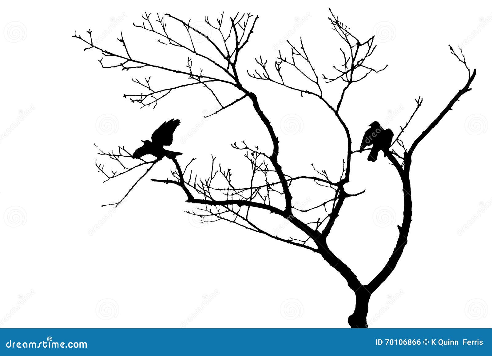 Birds On Tree Silhouette