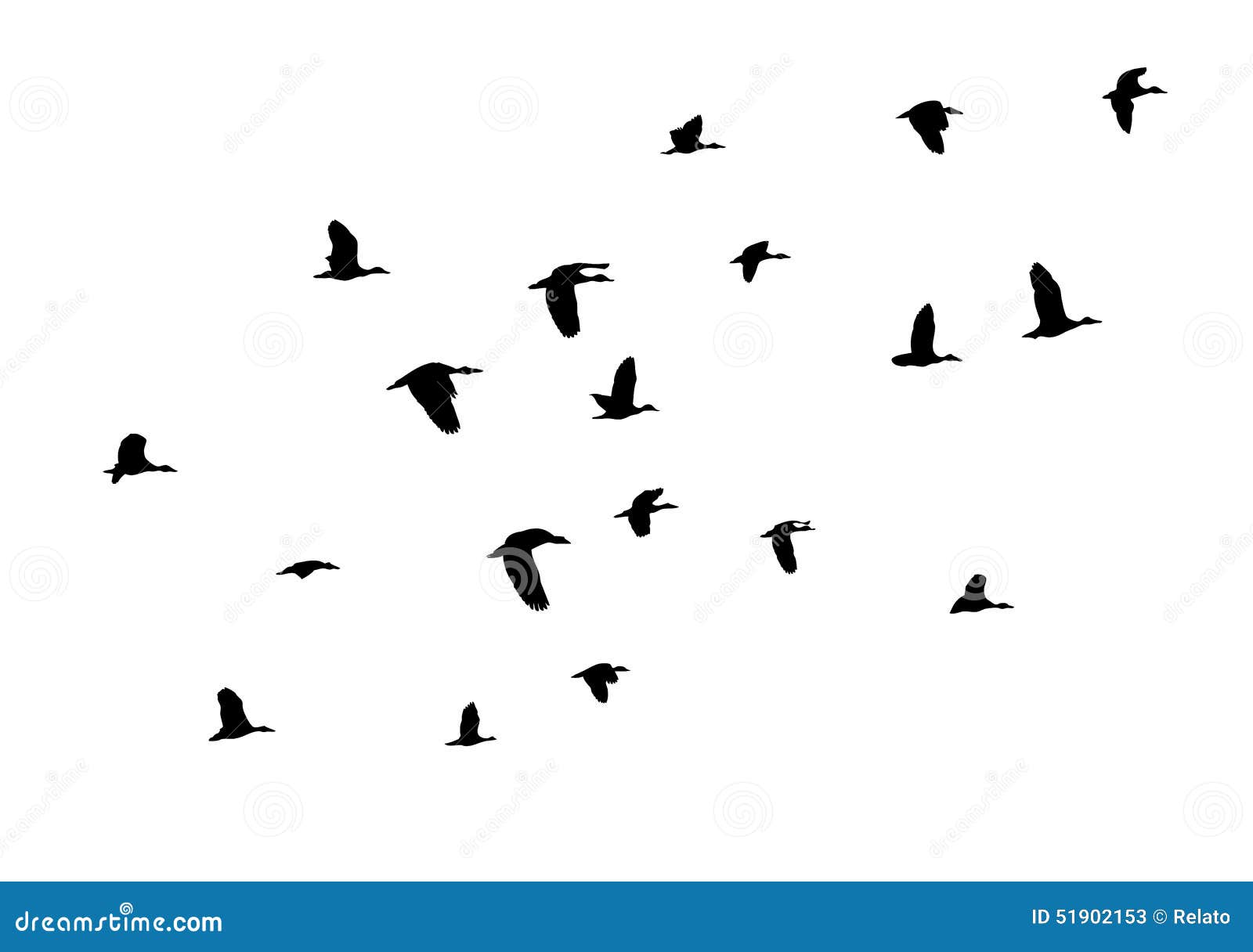 Flying Bird Animation Sprite Sheet Vector Illustration | CartoonDealer ...