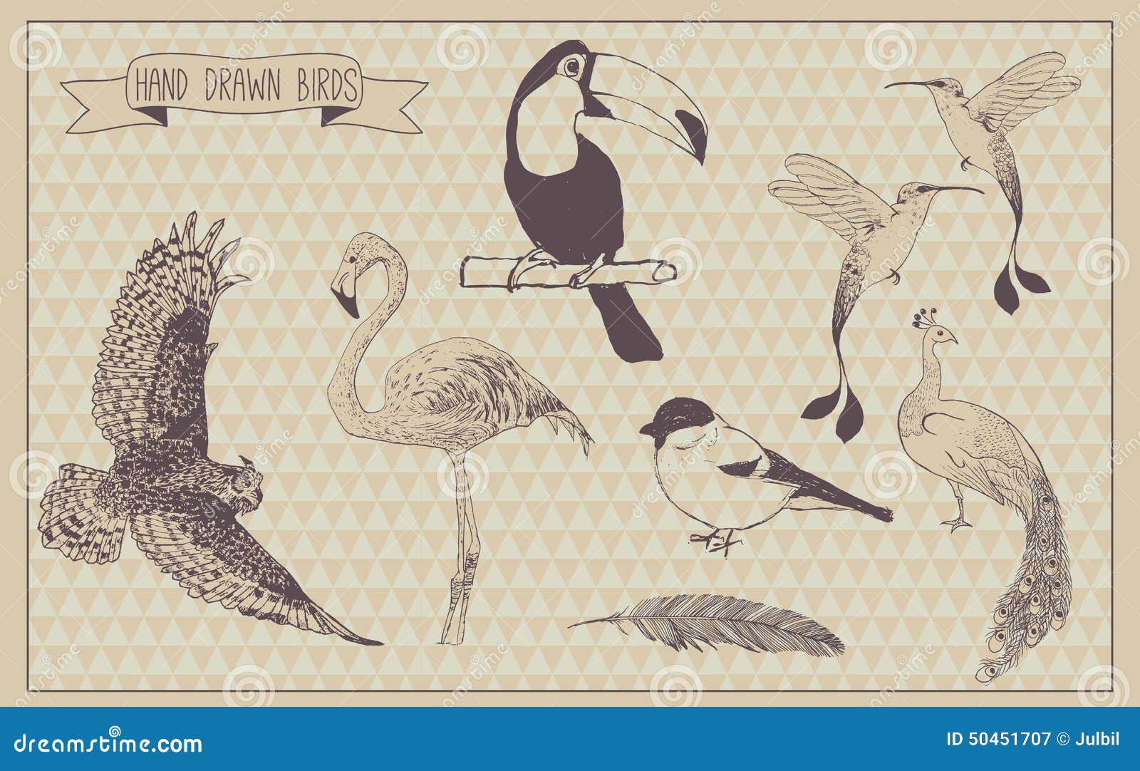 Birds Vector Set. Hand Drawn Bird Stock Vector - Illustration of summer ...