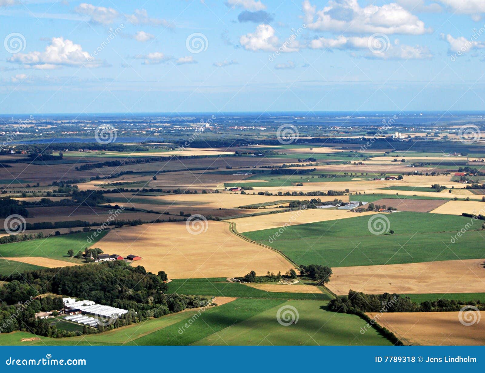 Birds view stock photo. Image of nordic, farming, flora - 7789318