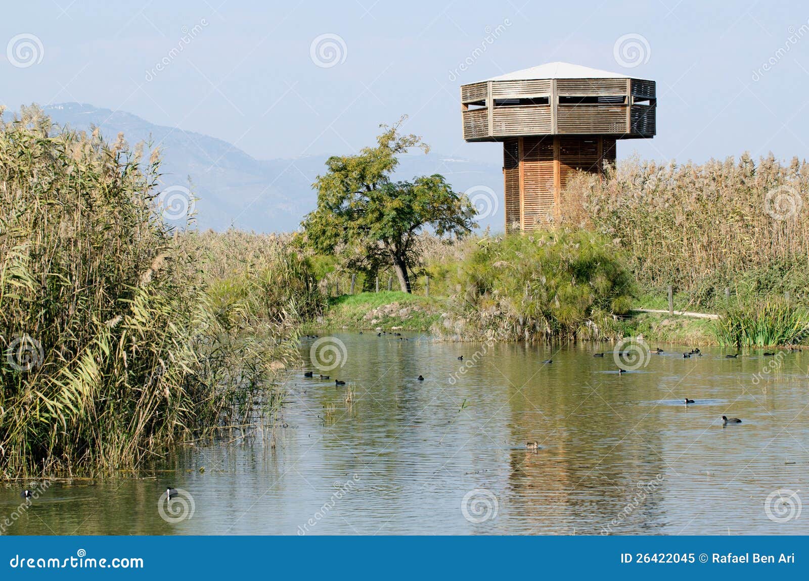 Birds watching tower stock image. Image of nature, high - 26422045