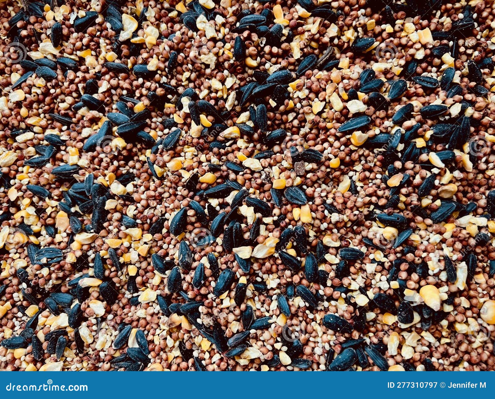 Birdseed stock image. Image of earing, meal, sunflower - 277310797