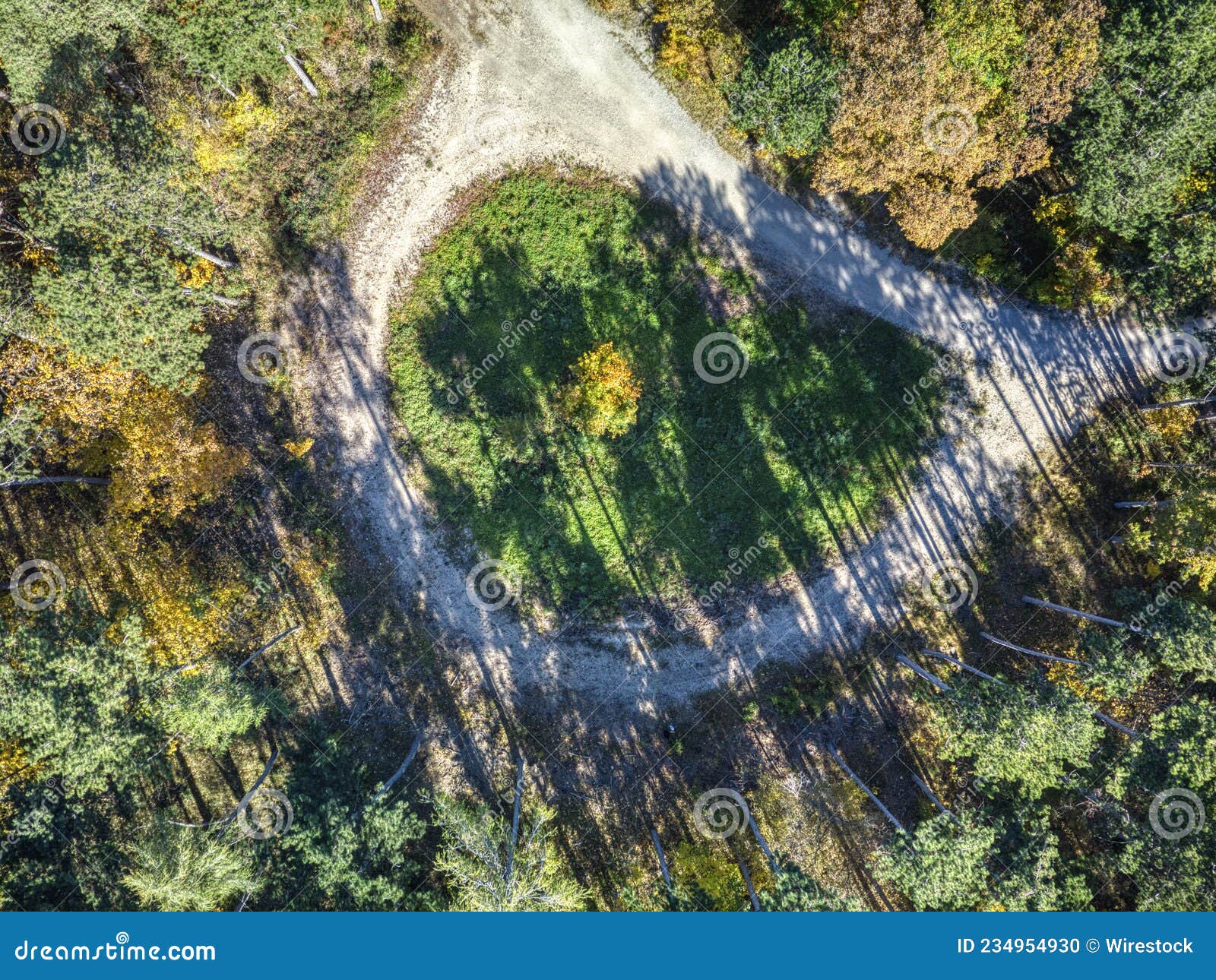 Birdseye View of a Forrest Clearing Stock Photo - Image of background ...