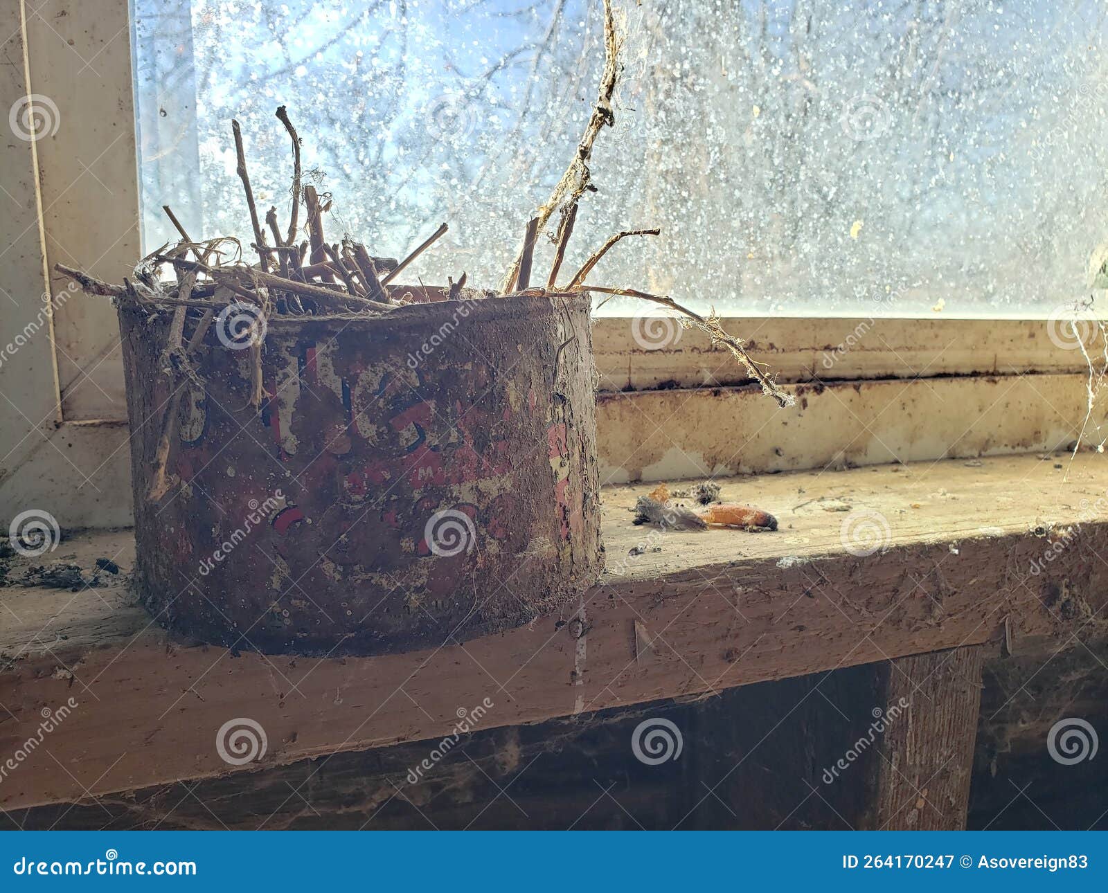 Birdsnest in an Old Rusty Can in a Barn Windowsill Stock Image - Image ...
