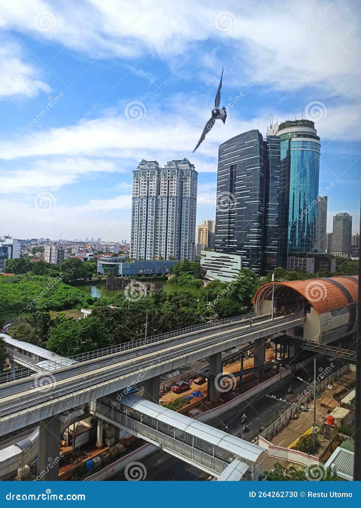 Birdview editorial image. Image of metropolis, skyscraper - 264262730