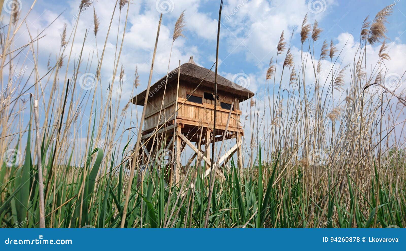 Birdwatch tower stock photo. Image of reed, tower, republic - 94260878