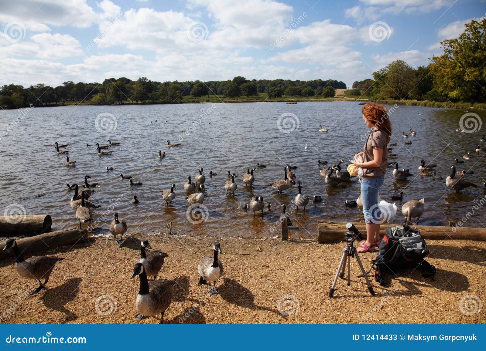 Birdwatcher with Spyglass on a Lake Shore Stock Image - Image of pond ...