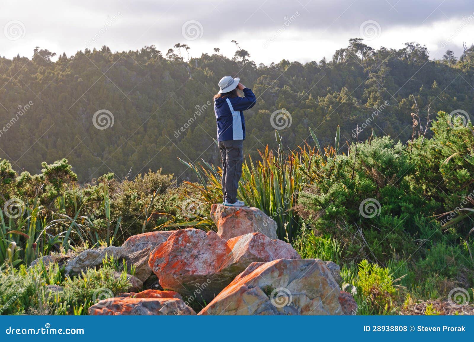 Birdwatcher Trying To See the Birds Stock Photo - Image of standing ...