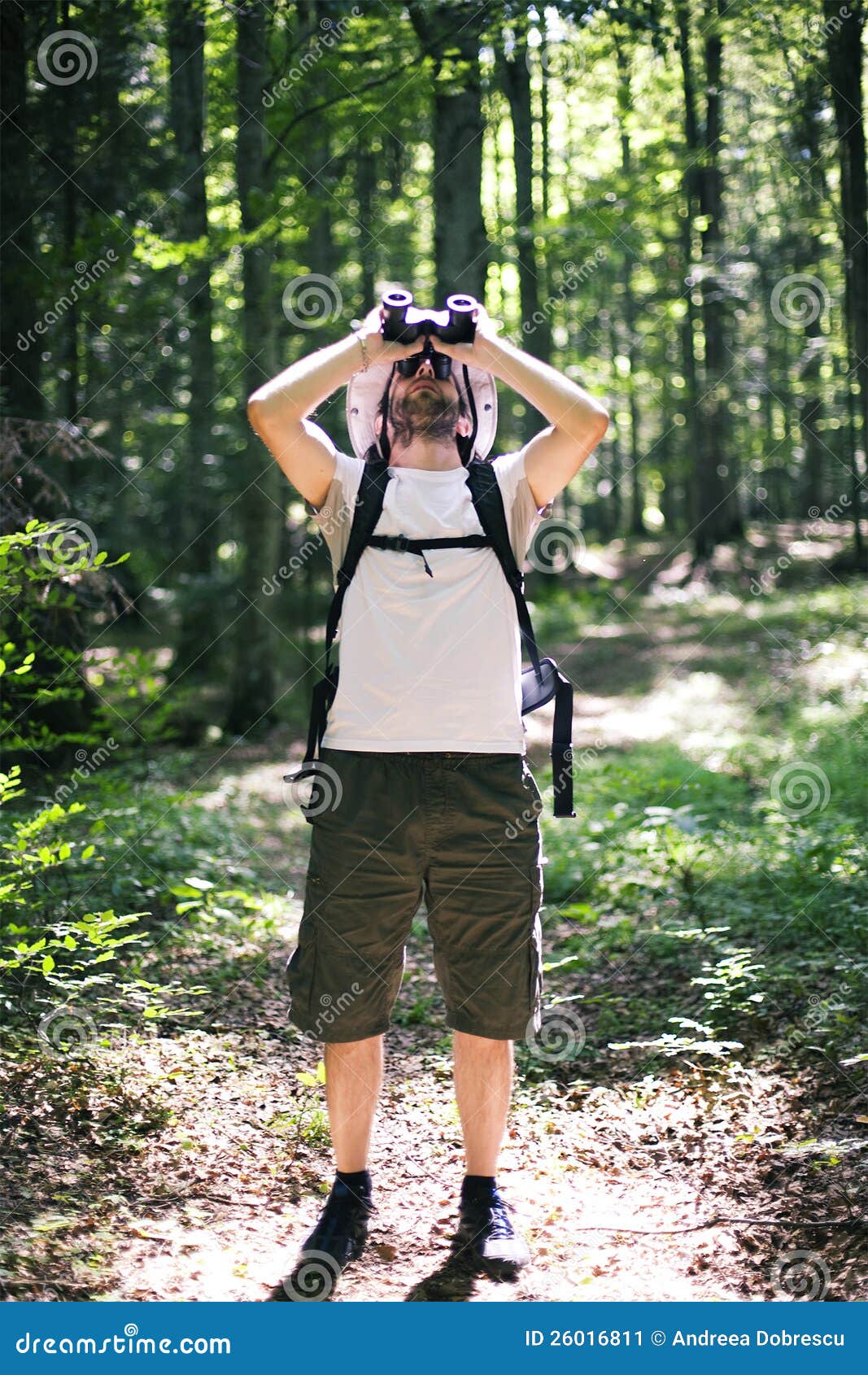 Birdwatching stock image. Image of exploration, watching - 26016811