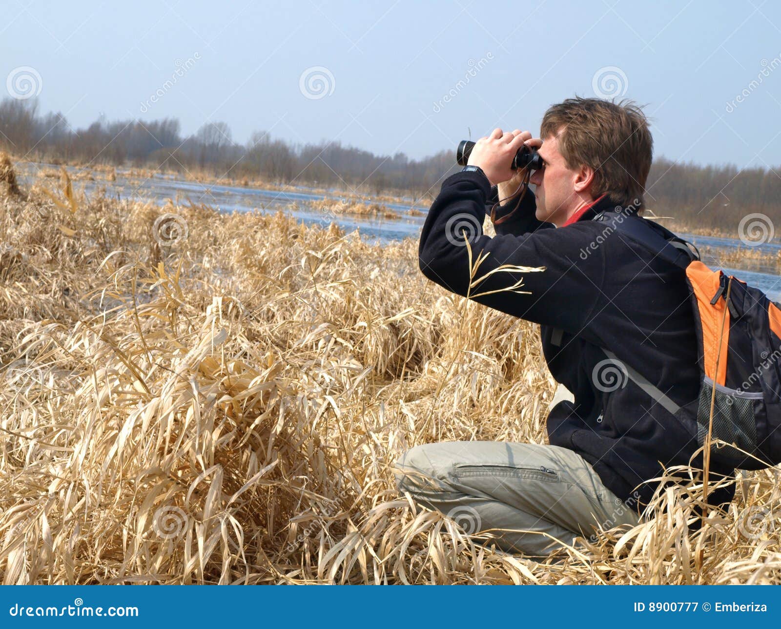 Birdwatching stock image. Image of tourism, activity, tourist - 8900777