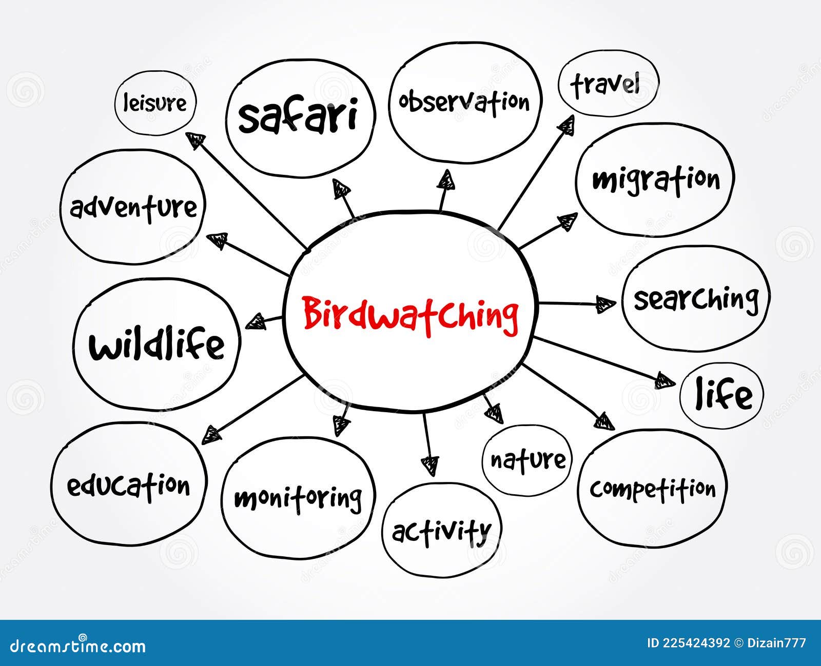 Birdwatching Mind Map, Concept for Presentations and Reports Stock ...