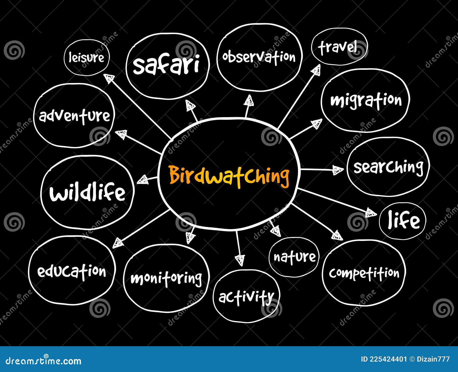 Birdwatching Mind Map, Concept for Presentations and Reports Stock ...