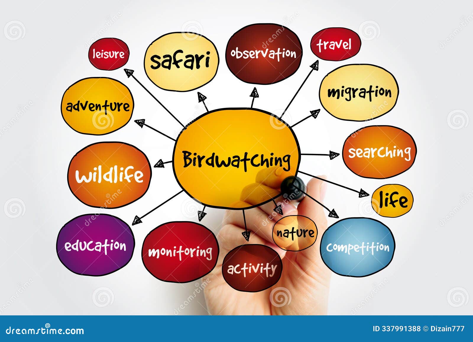 Birdwatching Mind Map, Concept for Presentations and Reports Stock ...