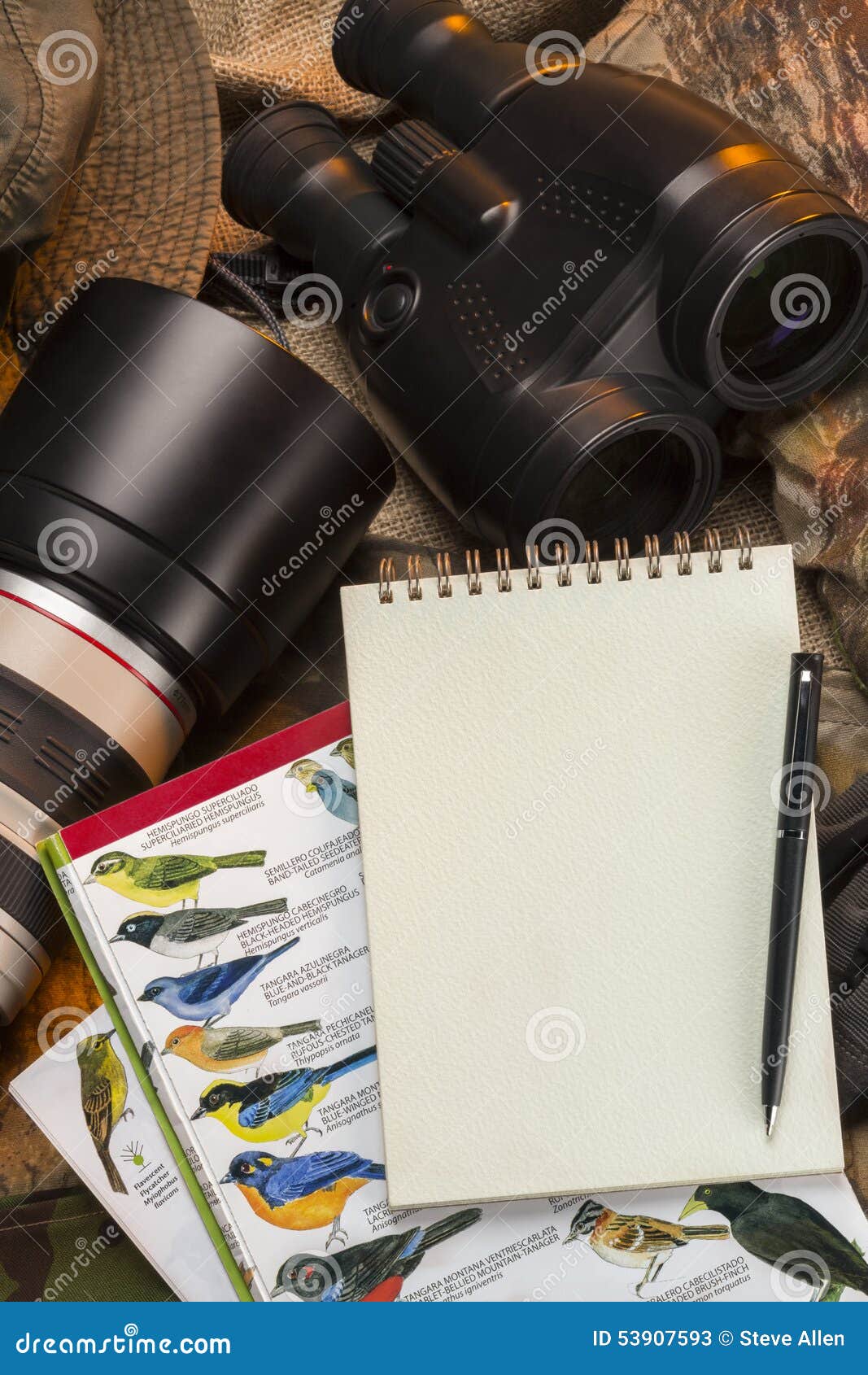 Birdwatching - Notebook - Space for Text Editorial Stock Photo - Image ...