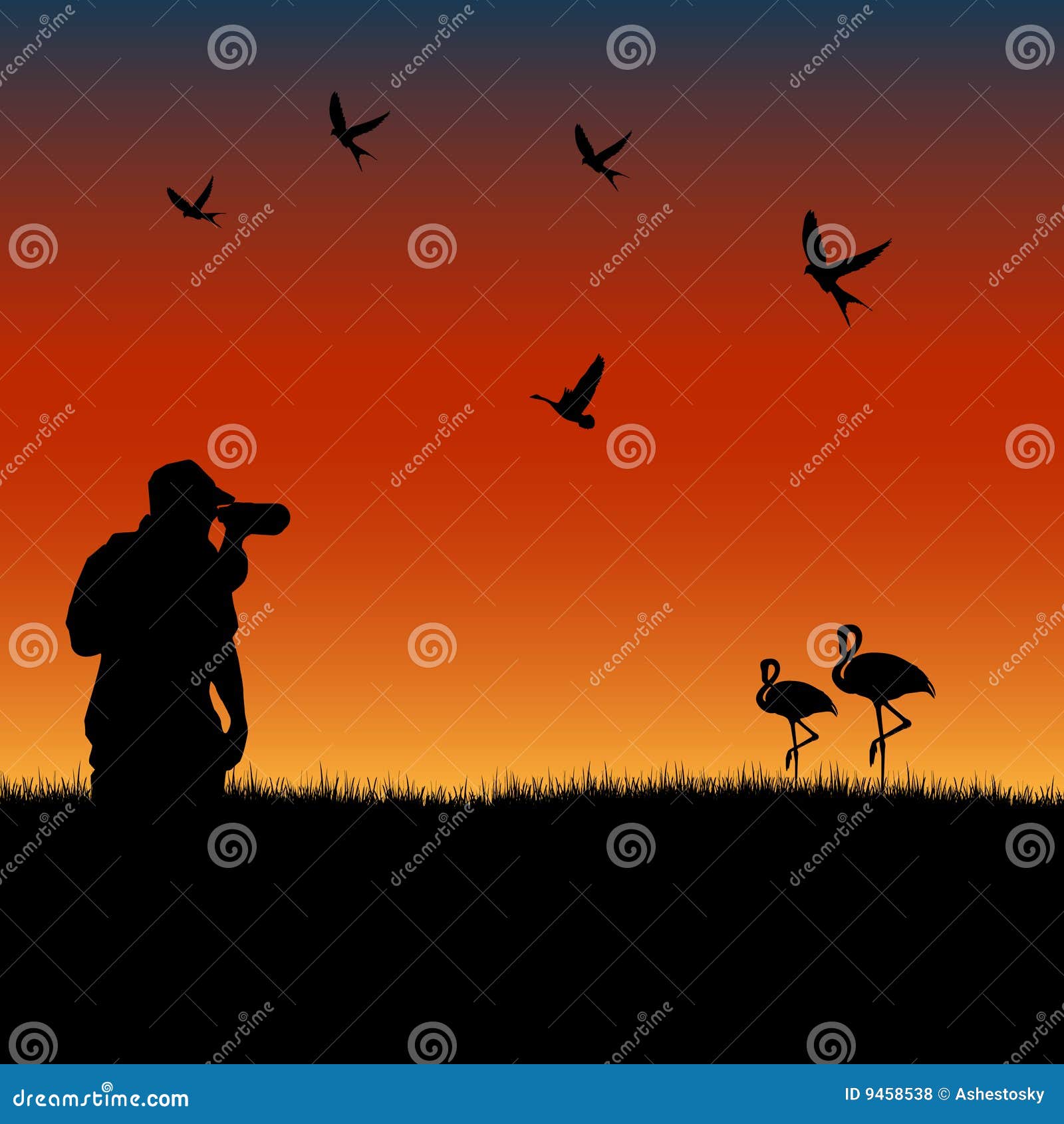 Birdwatching at sunset stock vector. Illustration of vectored - 9458538