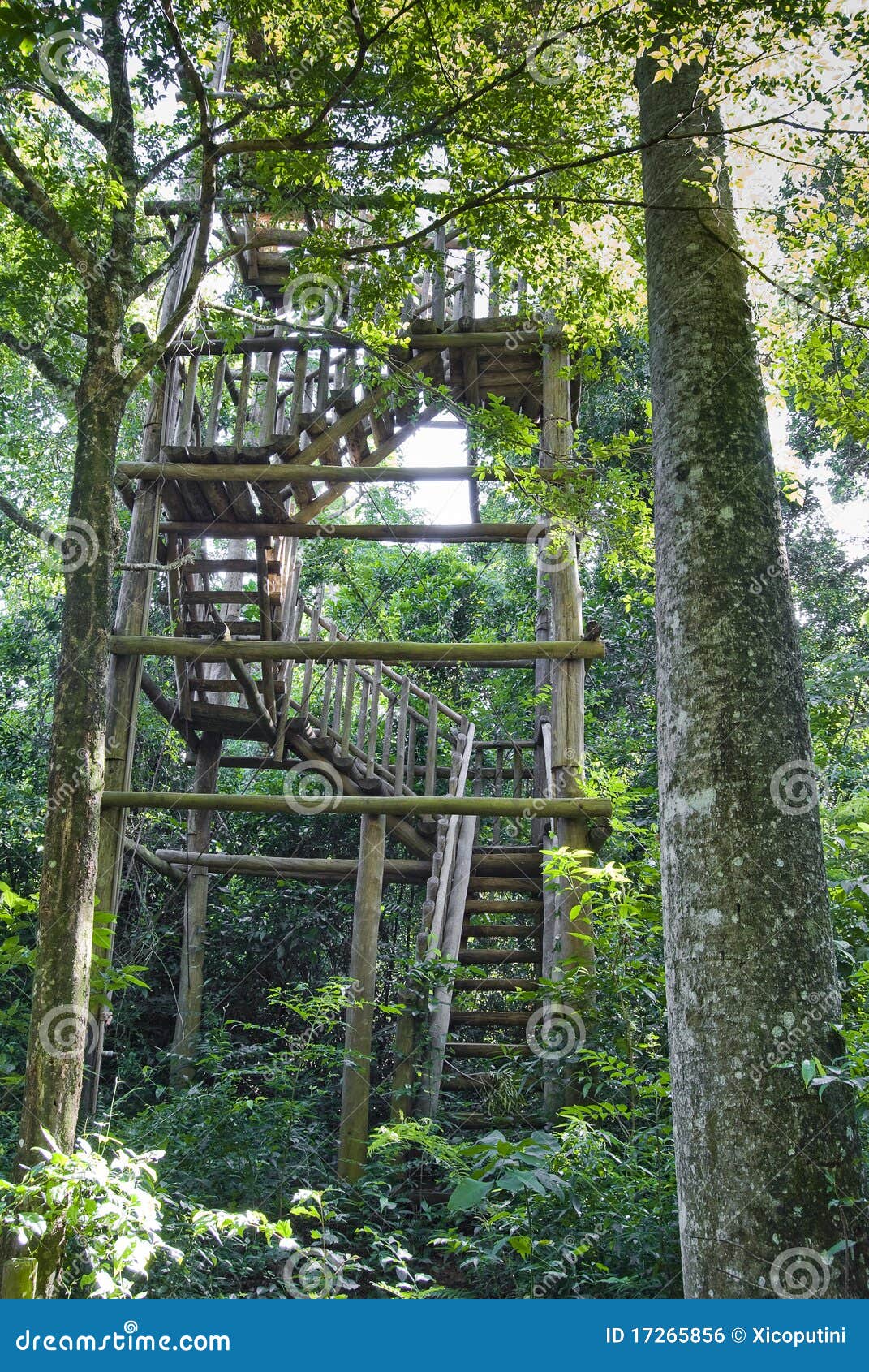 Birdwatching Tower stock photo. Image of study, path - 17265856