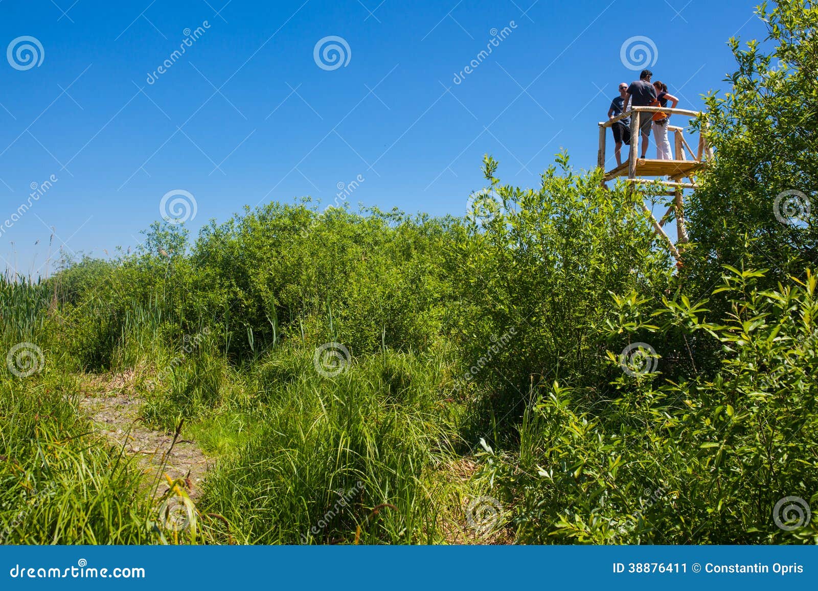 Birdwatching tower editorial photo. Image of birdwatching - 38876411