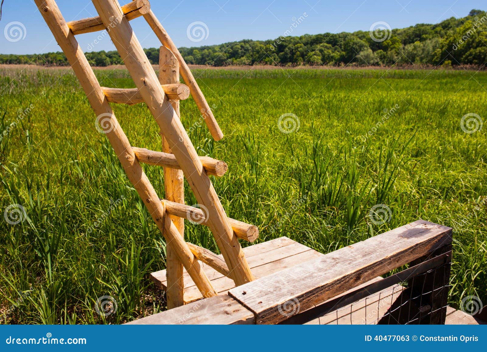 Birdwatching Tower Stairs Stock Photos - Free & Royalty-Free Stock ...
