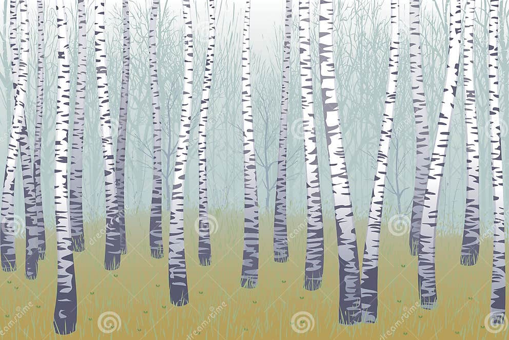 Birken vektor abbildung. Illustration von herbst, farbe - 22709527