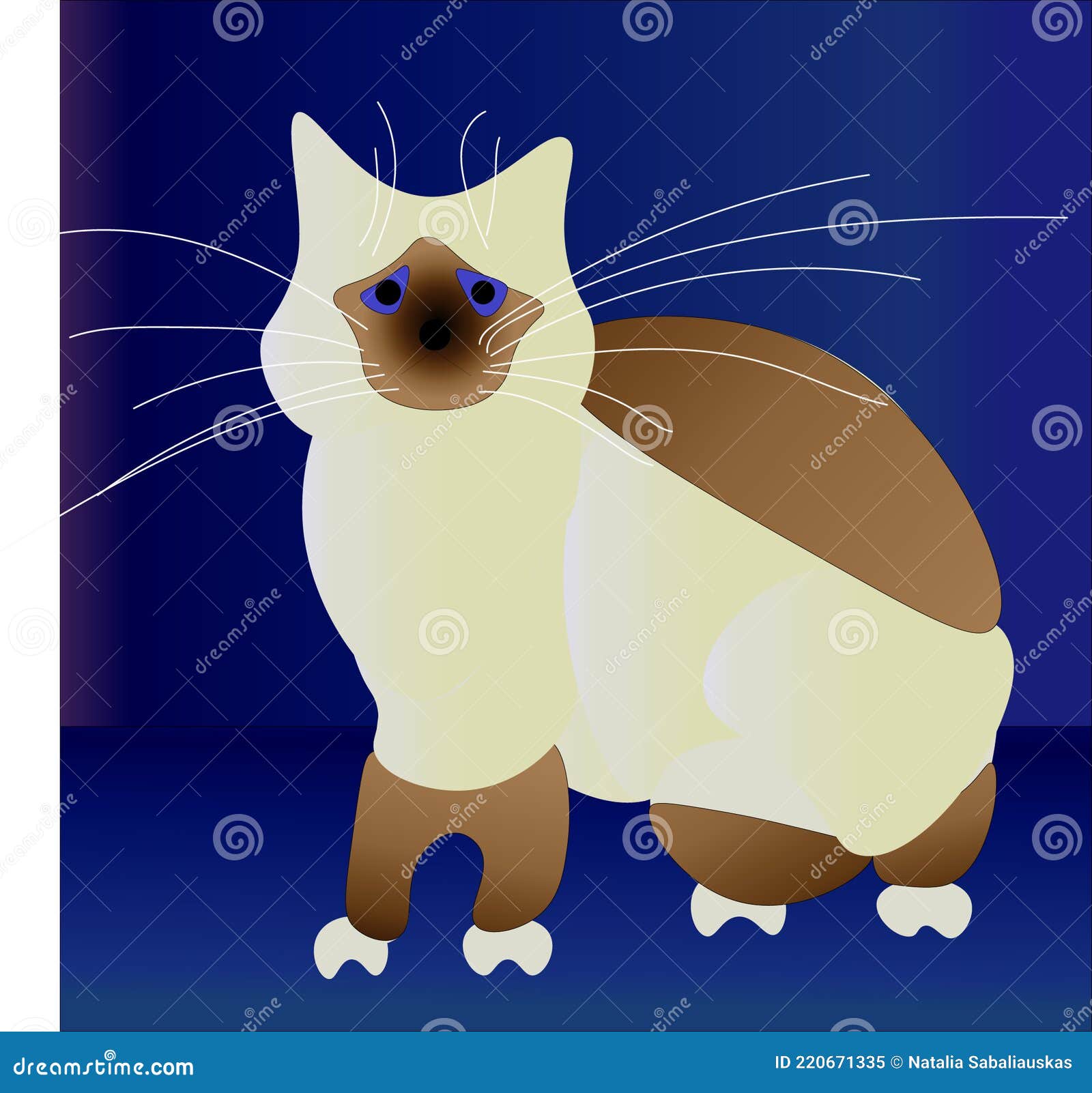 Birman Cat in Blue Background Vector Illustration Stock Illustration ...