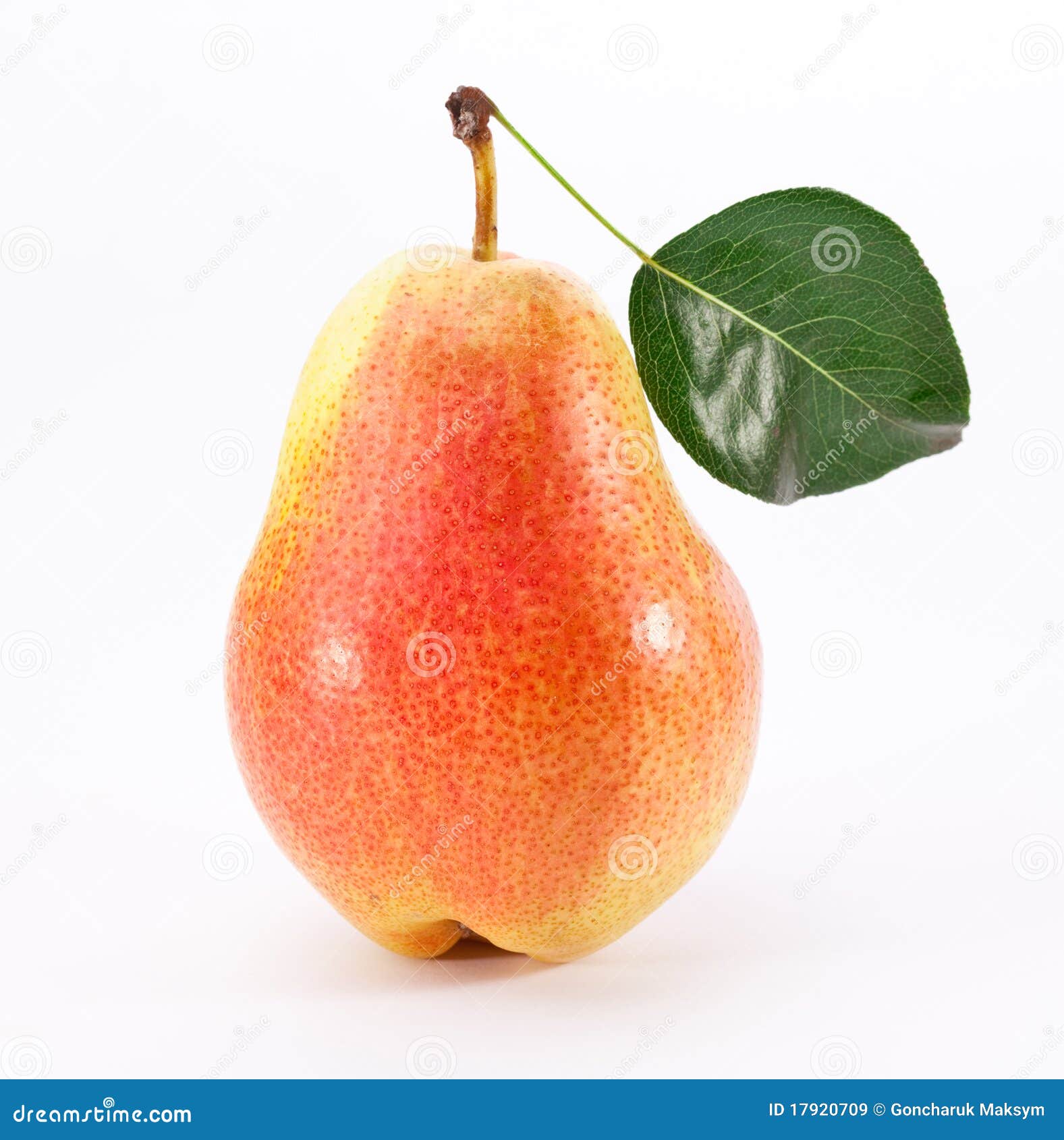 Birne stockbild. Bild von frisch, bestandteil, betrieb - 17920709