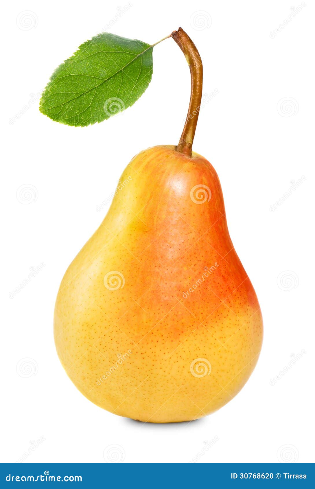 Birne mit Blatt stockfoto. Bild von frucht, frische, getrennt - 30768620