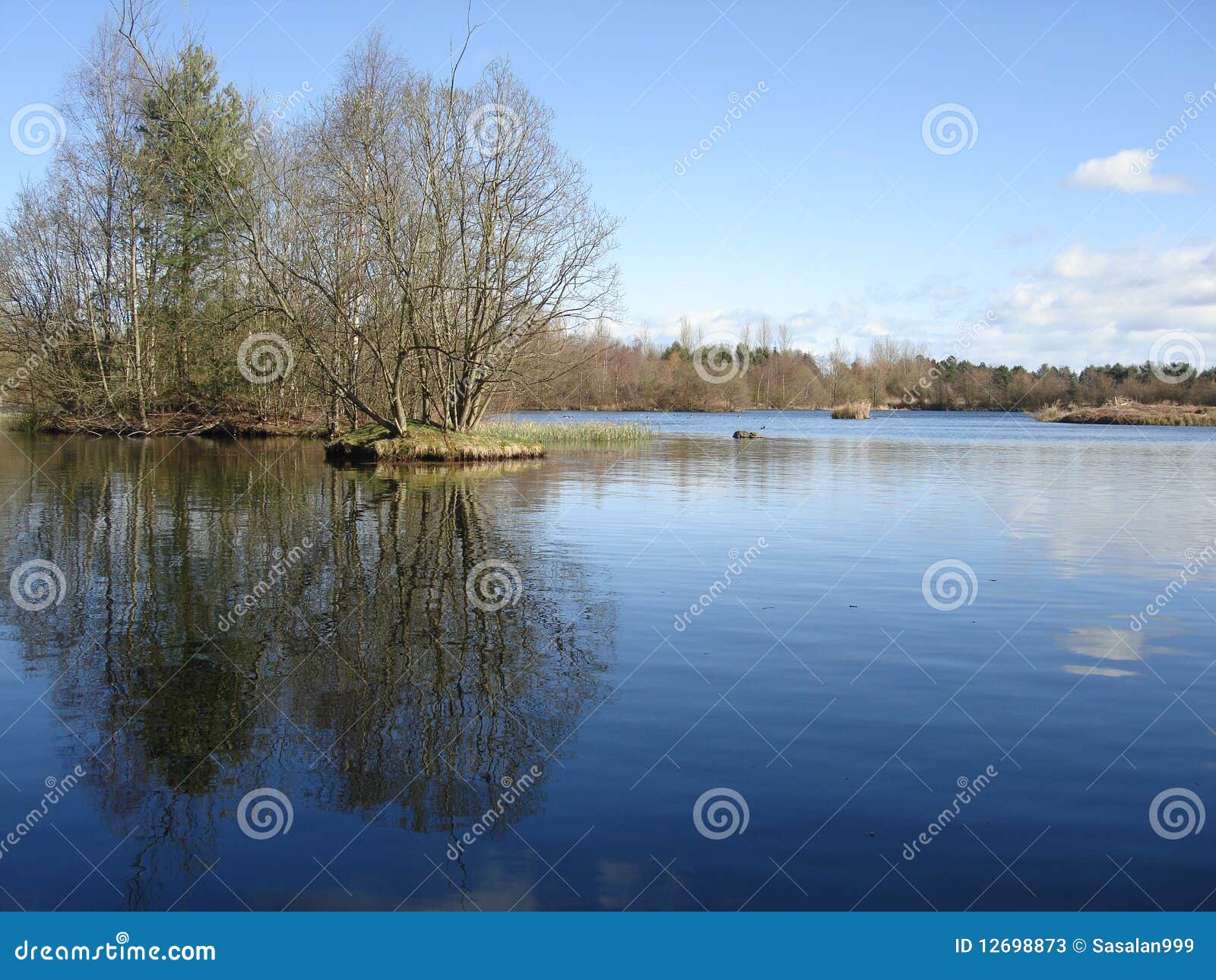 Birnie Trees stock image. Image of scenic, reflection - 12698873