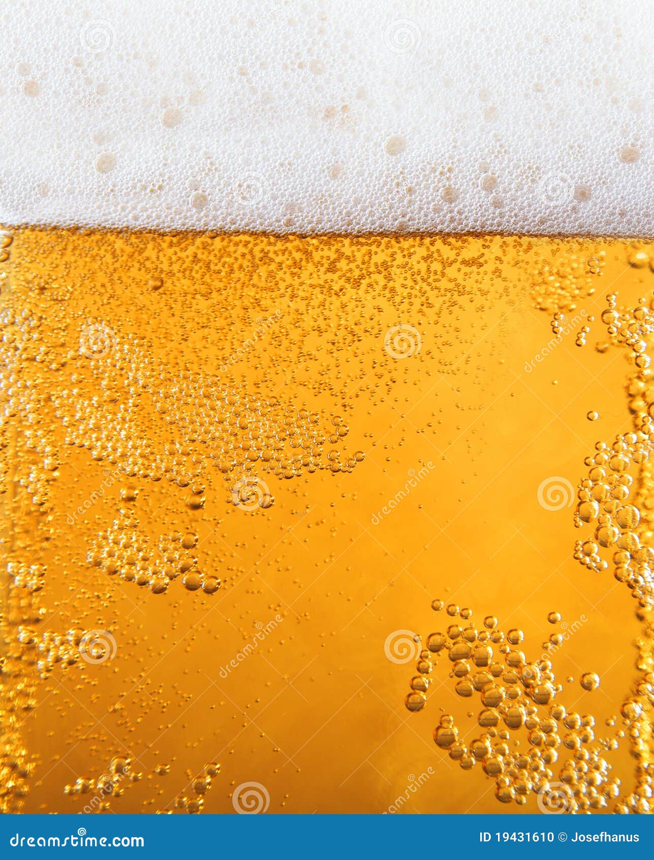 Birra Dell'oro Come Struttura Fotografia Stock - Immagine di bianco ...
