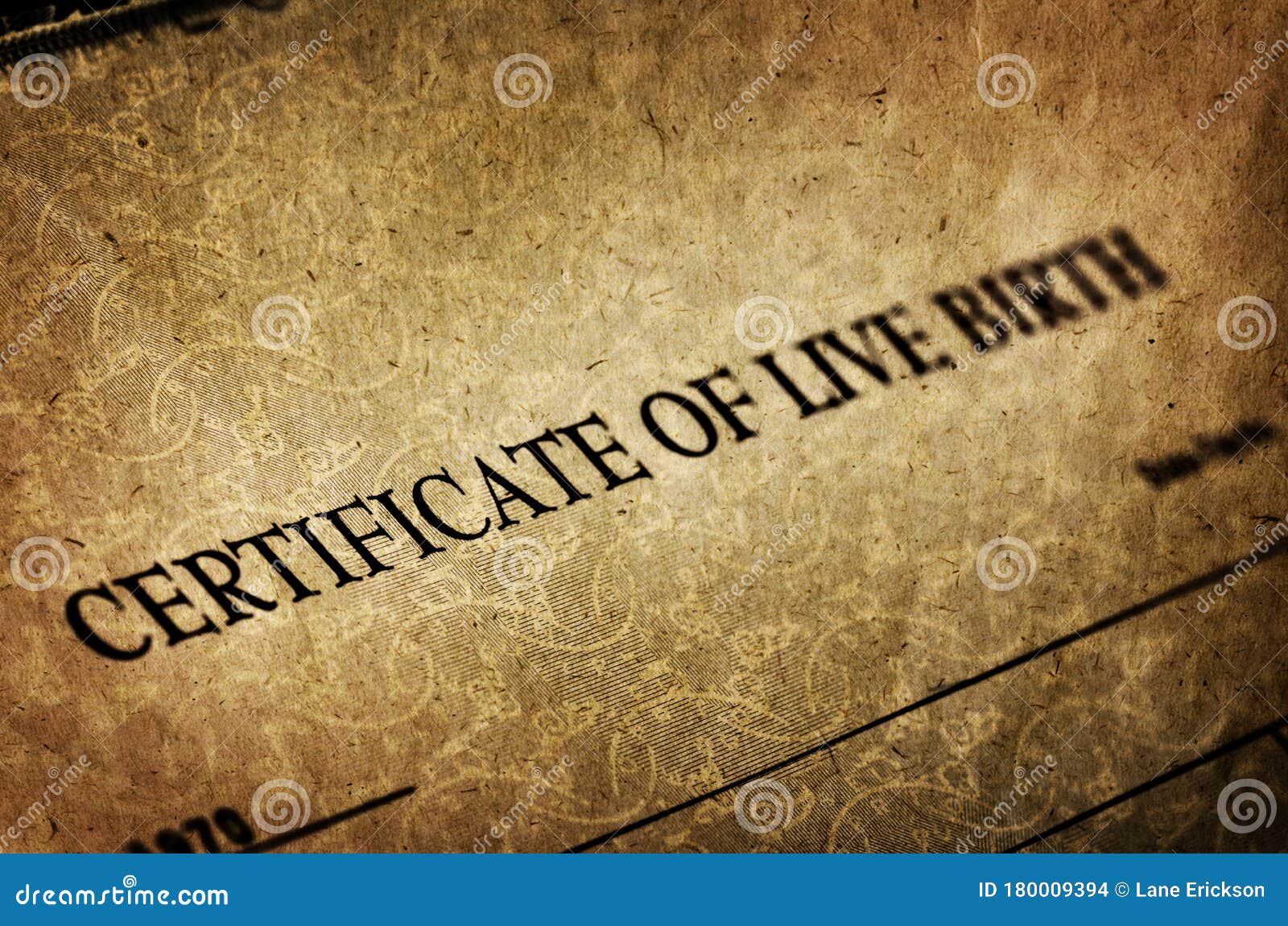 Birth Certificate for Live Baby Born Stock Photo - Image of america ...