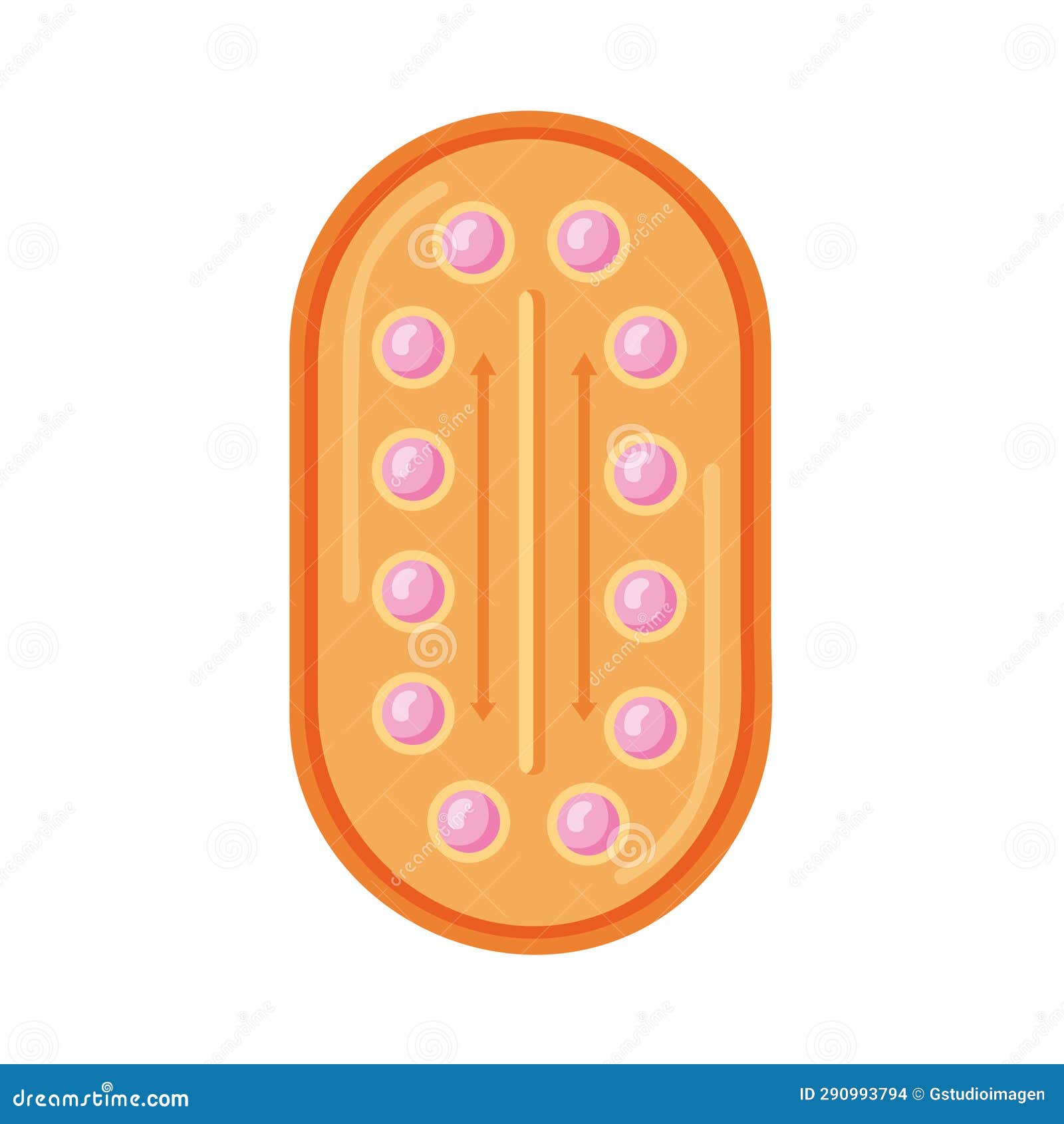 Pack Of Birth Control Pills. Blister Of Oral Hormonal Medicines For ...