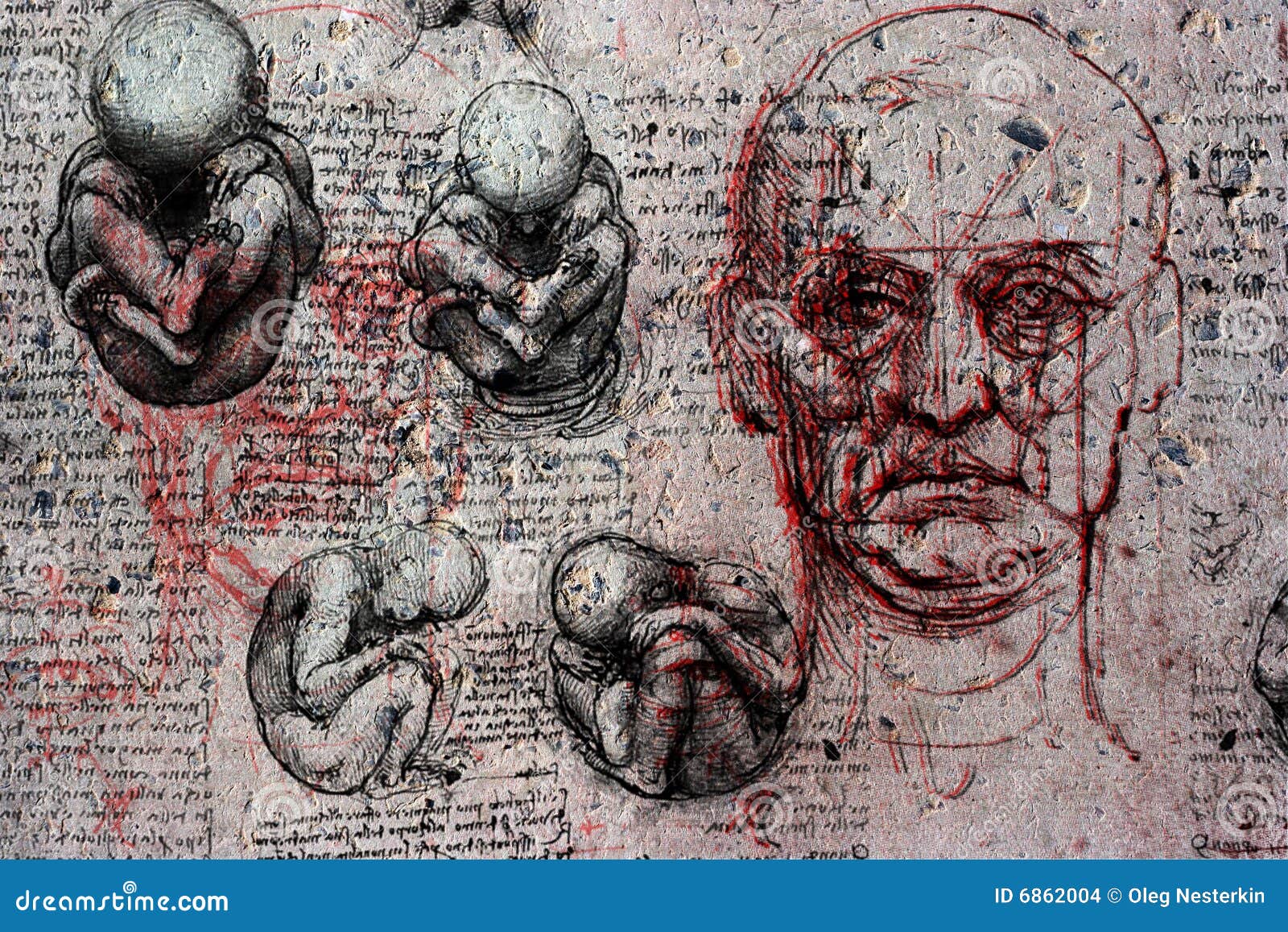 Birth and death stock illustration. Illustration of circle - 6862004