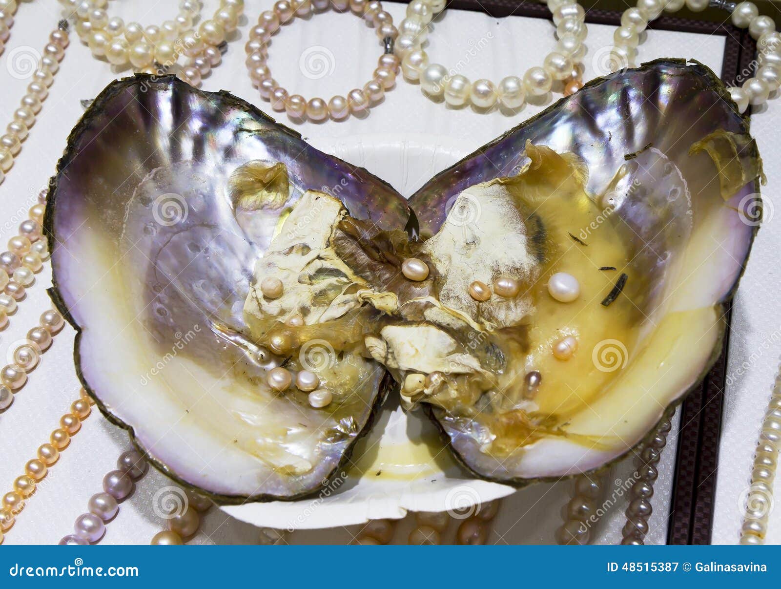 The Birth of a Pearl in the Shell Stock Image - Image of mother, leaf ...