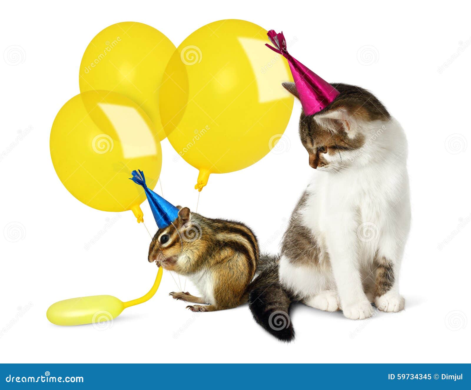 Happy Birthday Chipmunk Stock Photos - Free & Royalty-Free Stock Photos ...