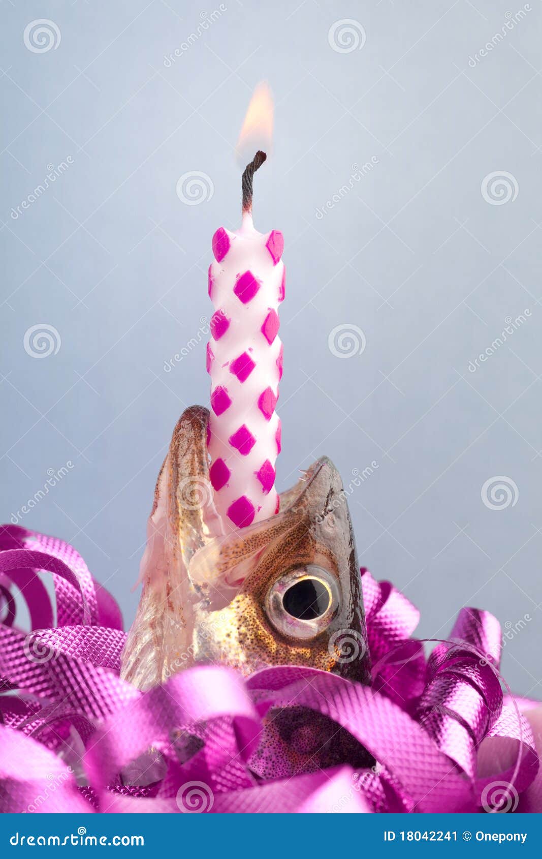 Birthday Fish stock image. Image of burning, candle, pink - 18042241