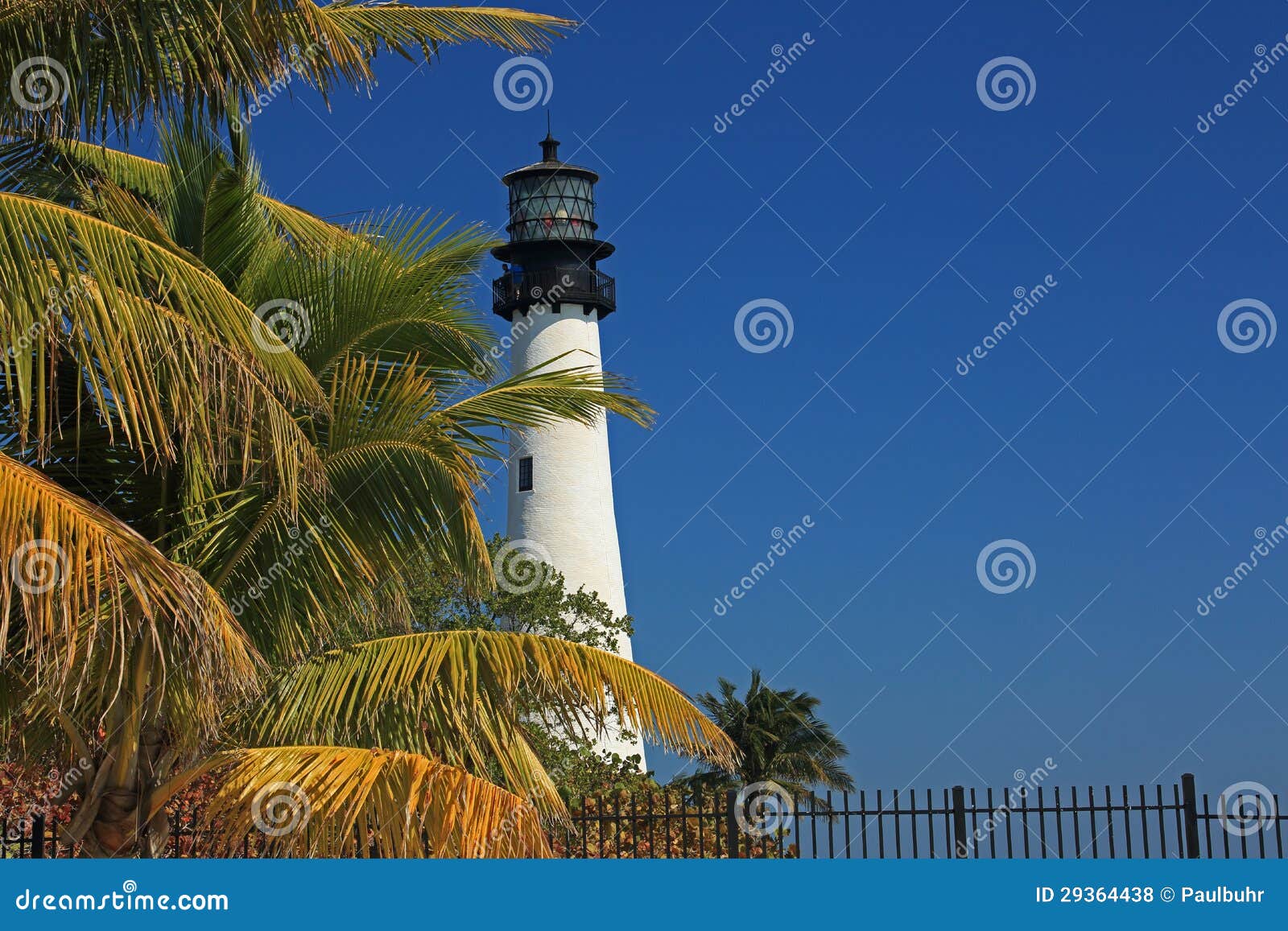 Biscayne Lighthouse stock photo. Image of florida, coconuts - 29364438