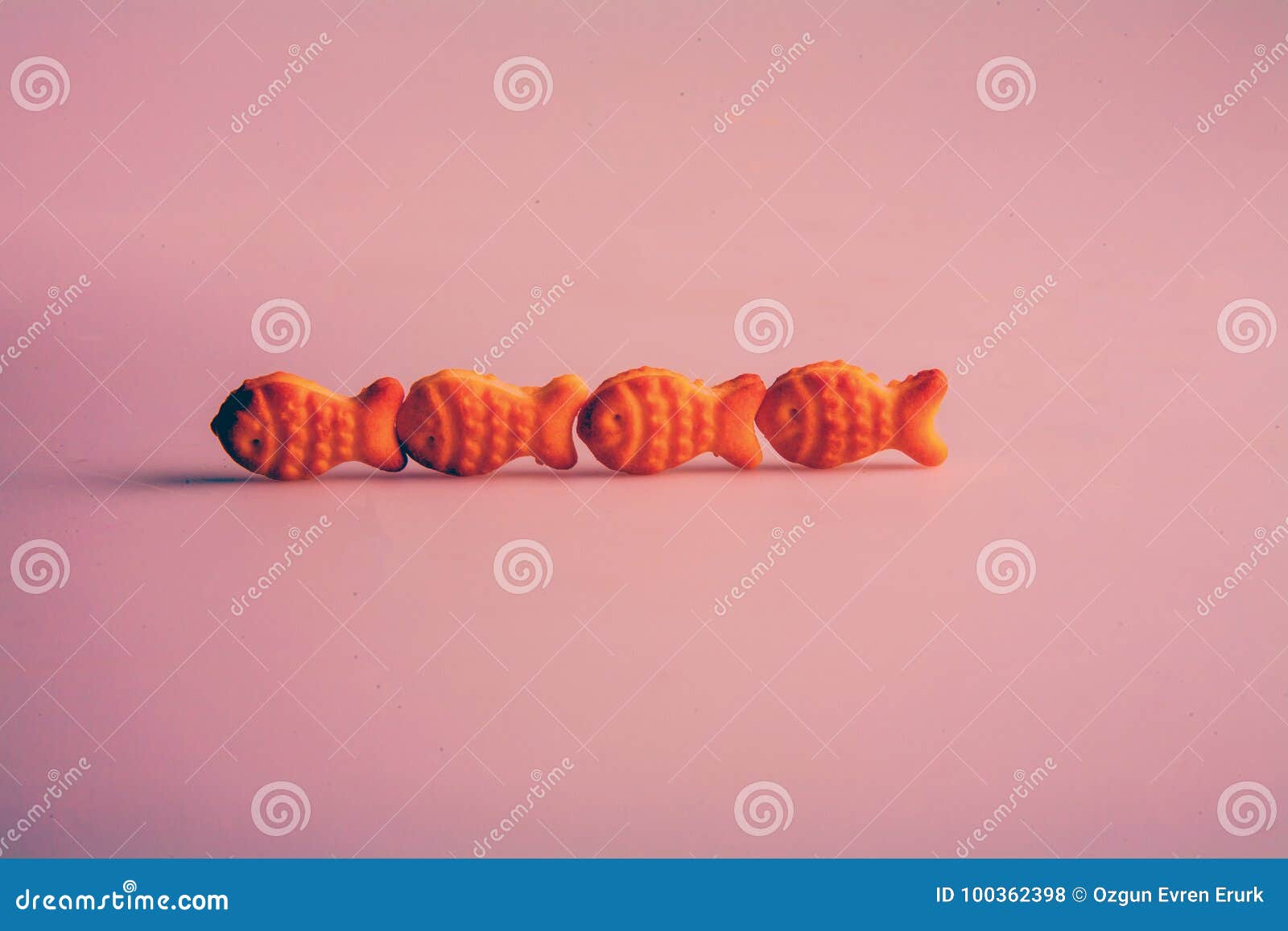 Biscotto a forma di pesce fotografia stock. Immagine di chiusura ...