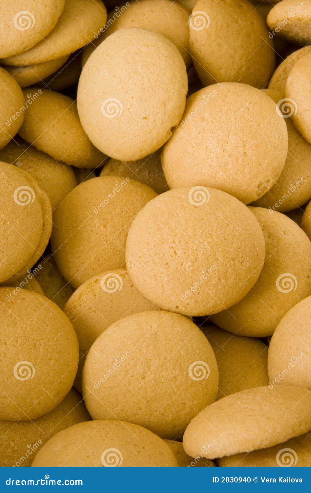 Biscuit stock photo. Image of biscuit, sweet, pastry, sugary - 2030940