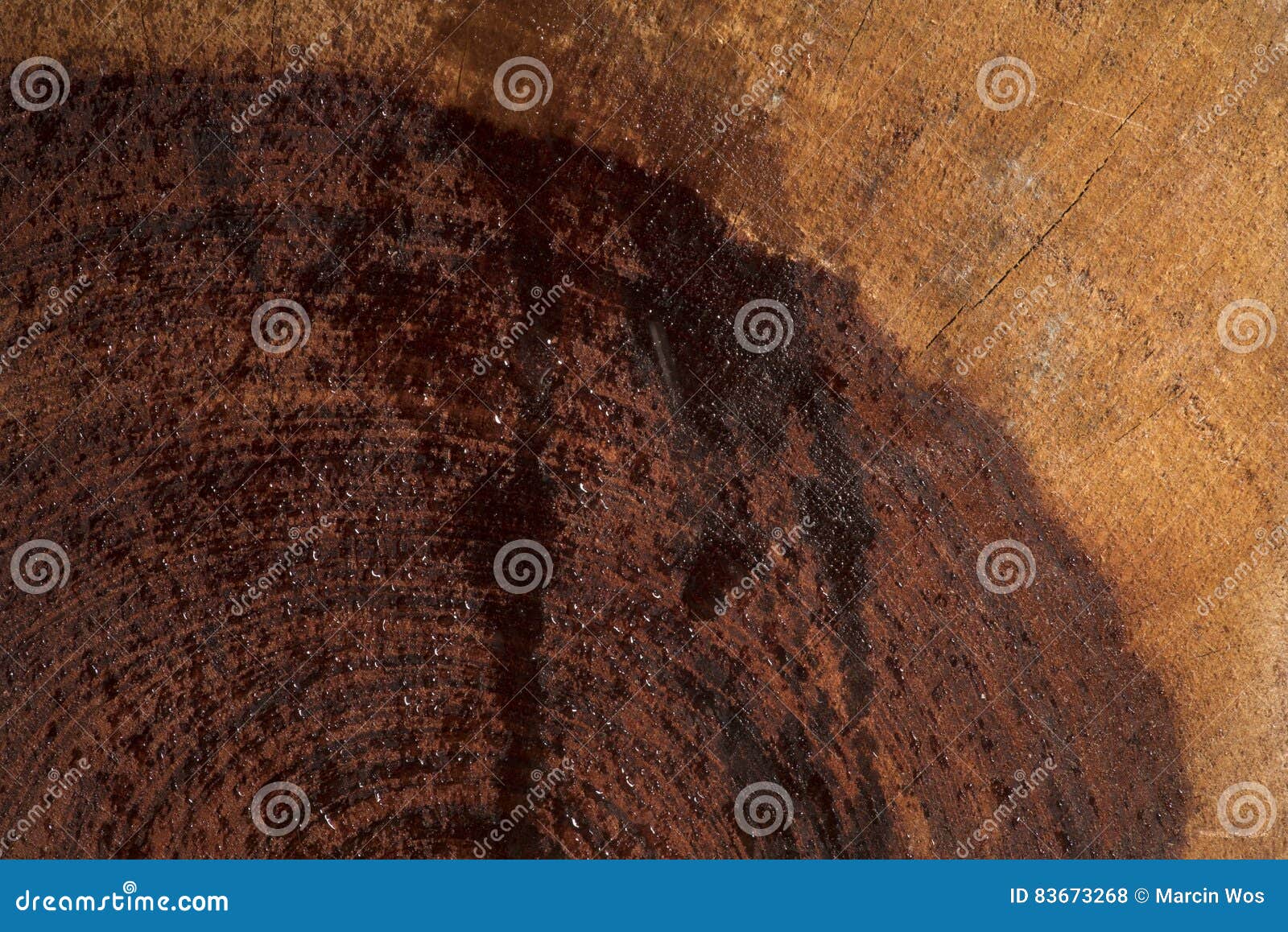 Biscuit background stock photo. Image of healthy, nutrition - 83673268