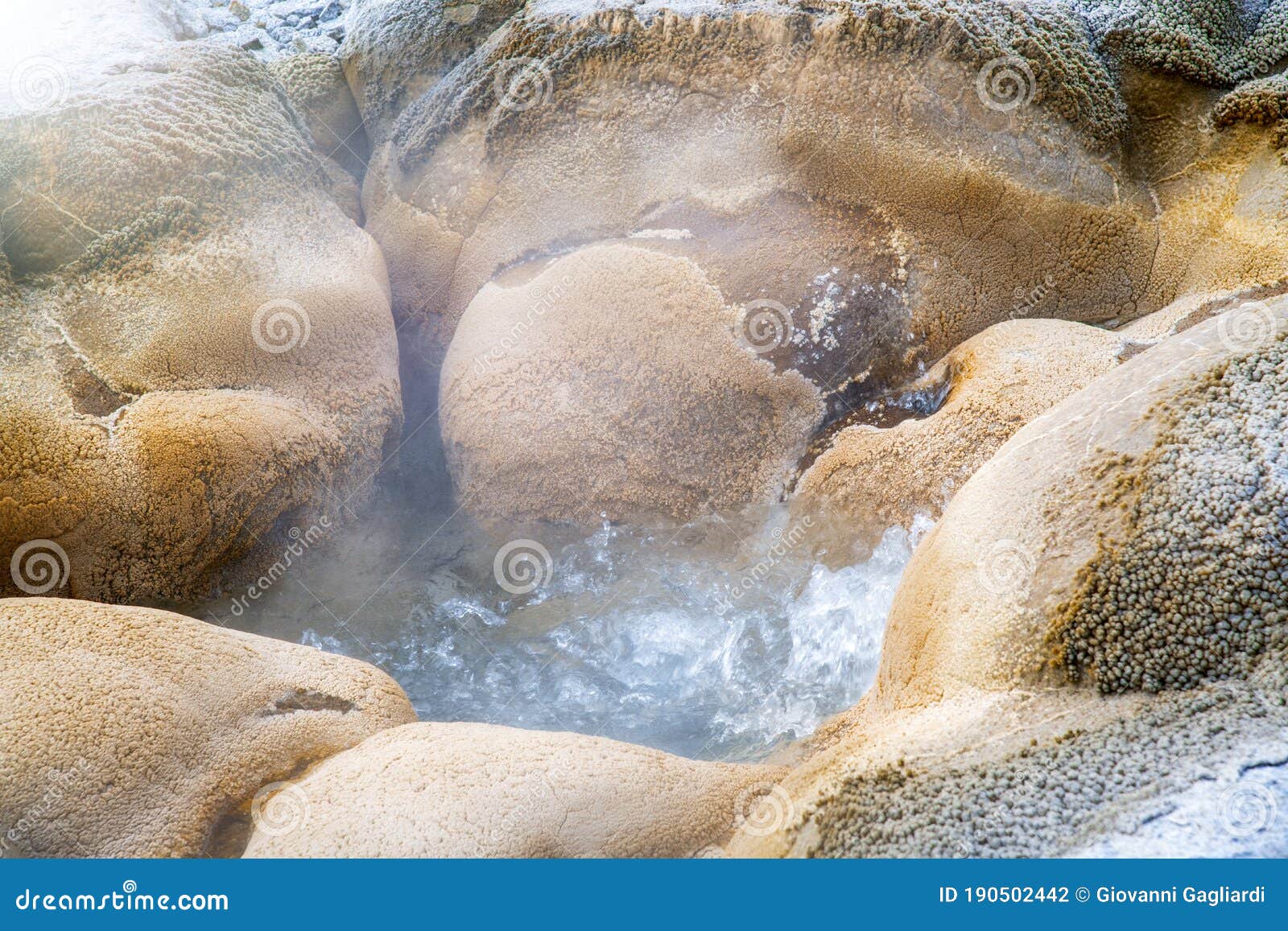 Biscuit Basin Boiling Pool in Yellowstone National Park Stock Photo ...