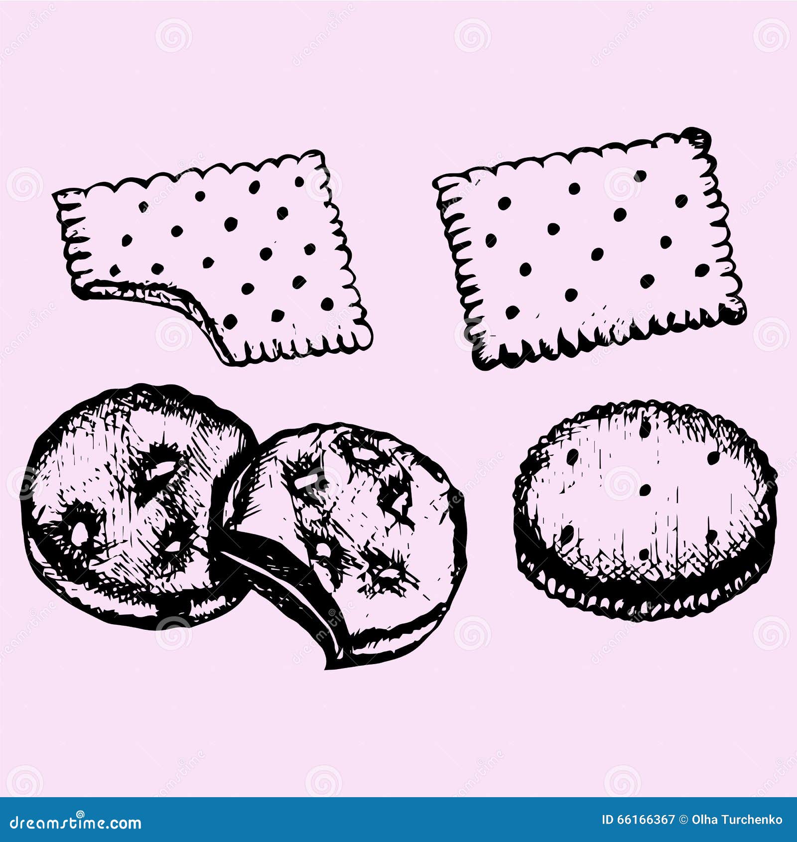 Biscuit, Doodle Style, Hand Drawn Stock Vector - Illustration of ...