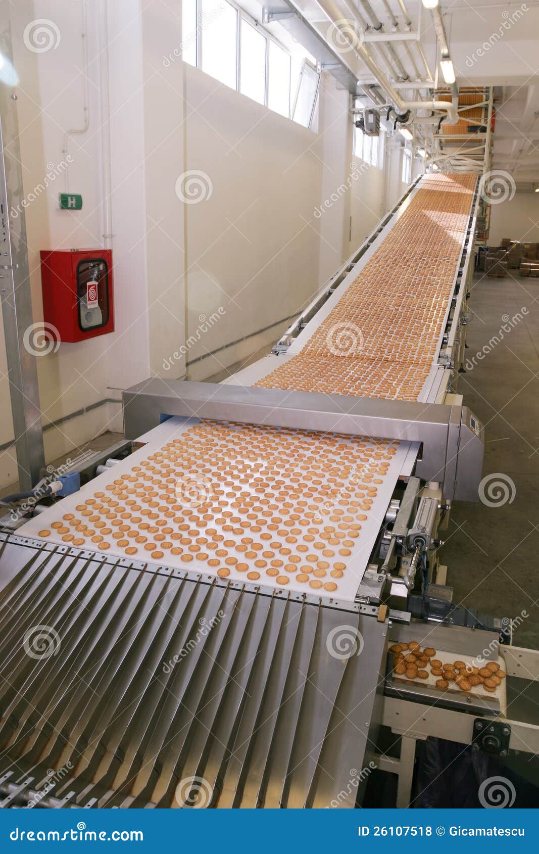 Biscuit factory stock photo. Image of food, kitchen, aligned - 26107518
